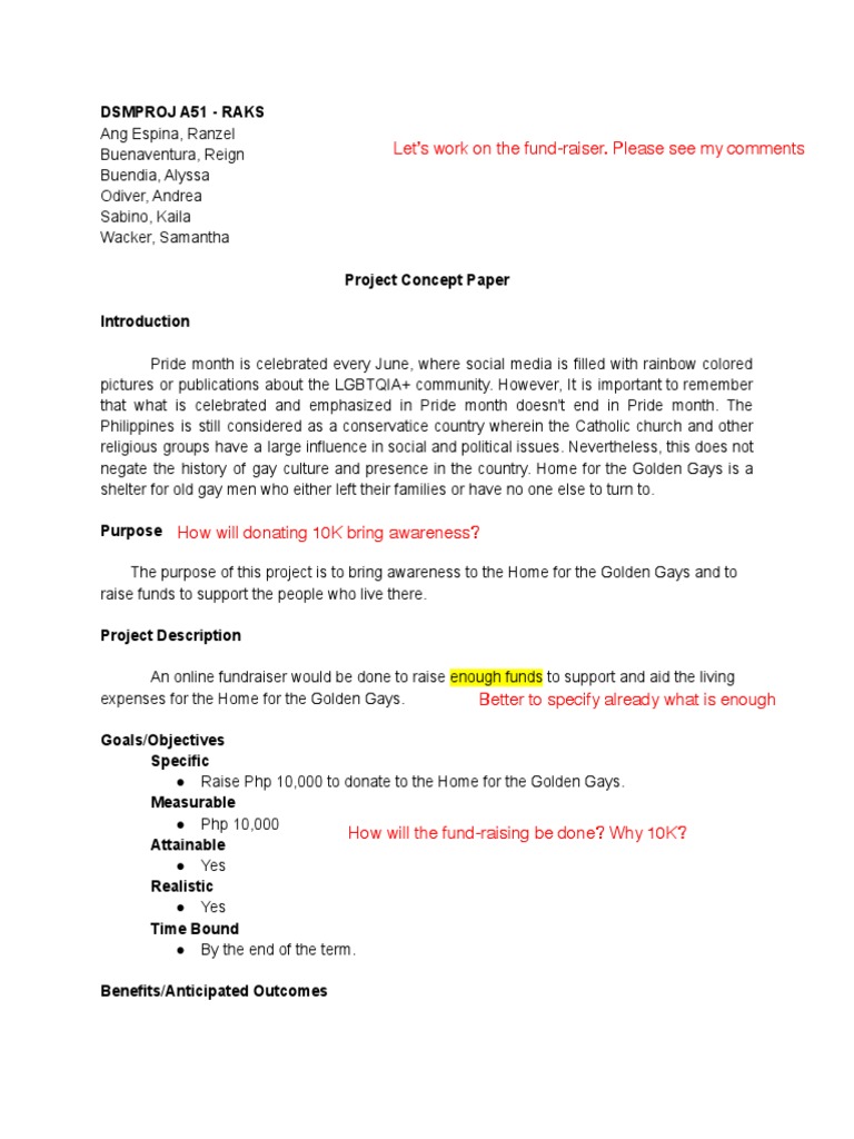 Let's Work On The Fund-Raiser. Please See My Comments: Dsmproj A51 ...