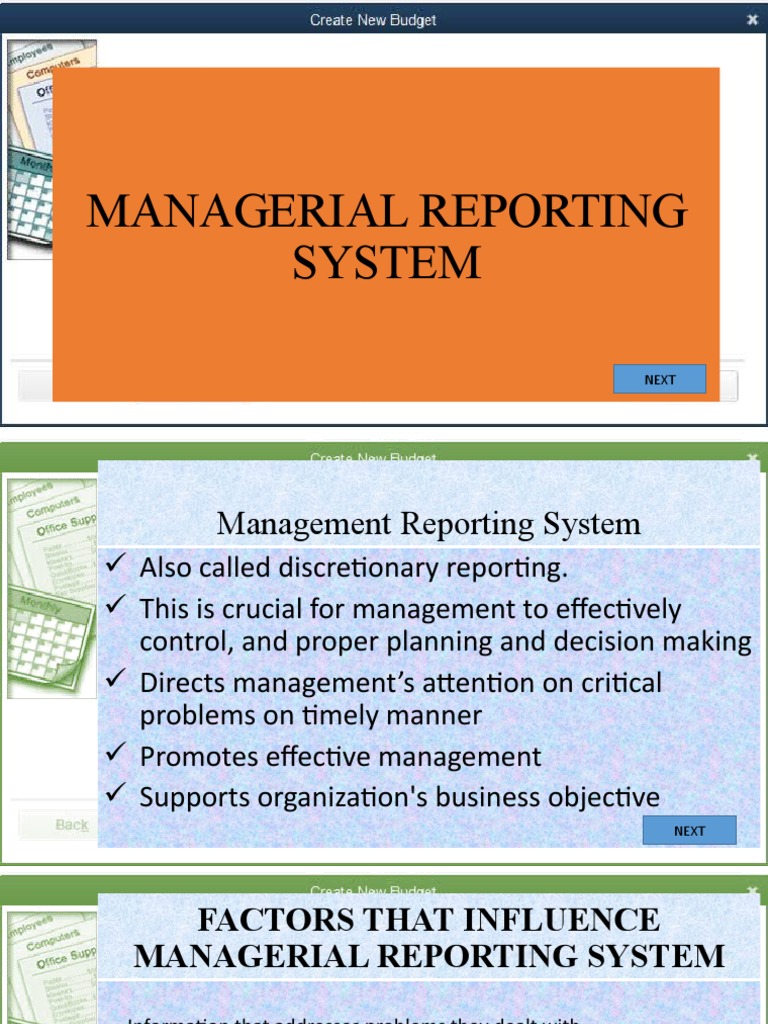 Management Reporting System | Download Free PDF | Economies | Cognition