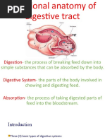 Ruminant Stomach Anatomy and Functions | PDF | Digestion | Esophagus