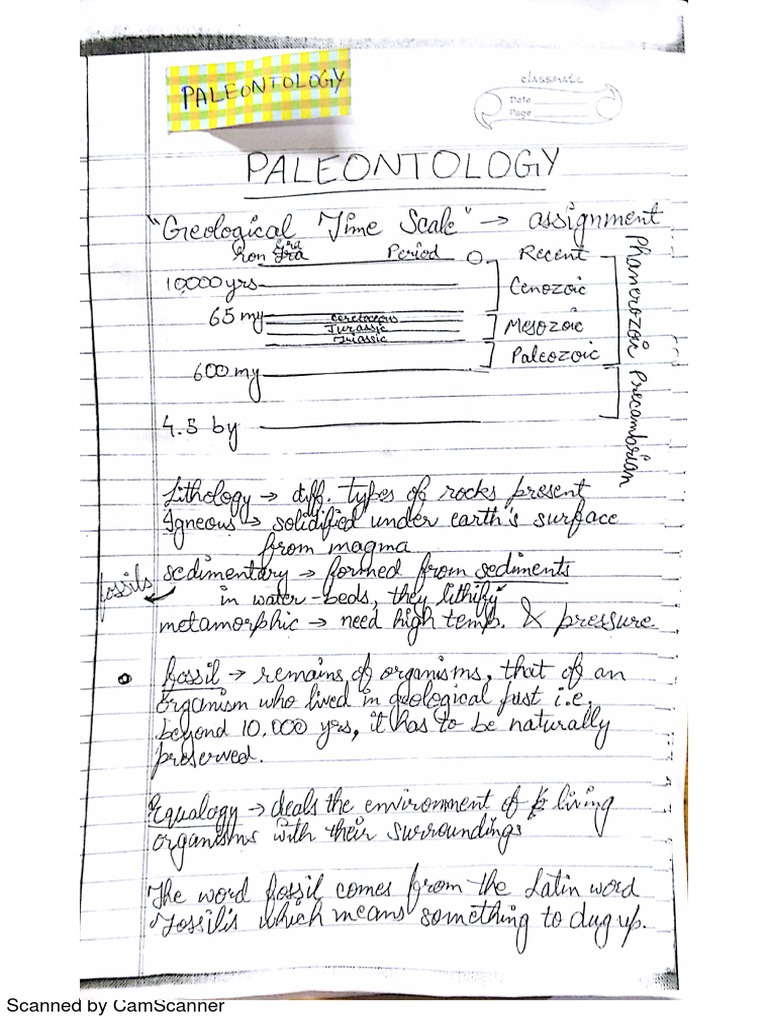 Paleontology Notes | PDF