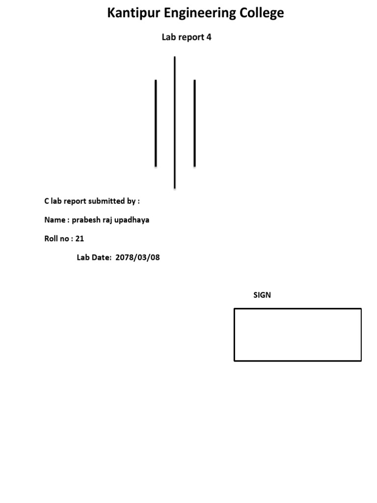 Lab 4 | PDF | Parameter (Computer Programming) | Subroutine