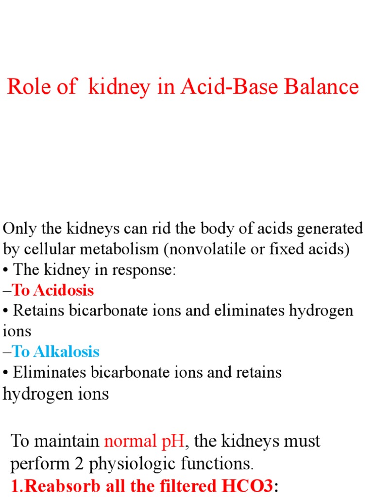 Kidneys' Role in Maintaining Acid-Base Balance | PDF | Kidney | Chemistry