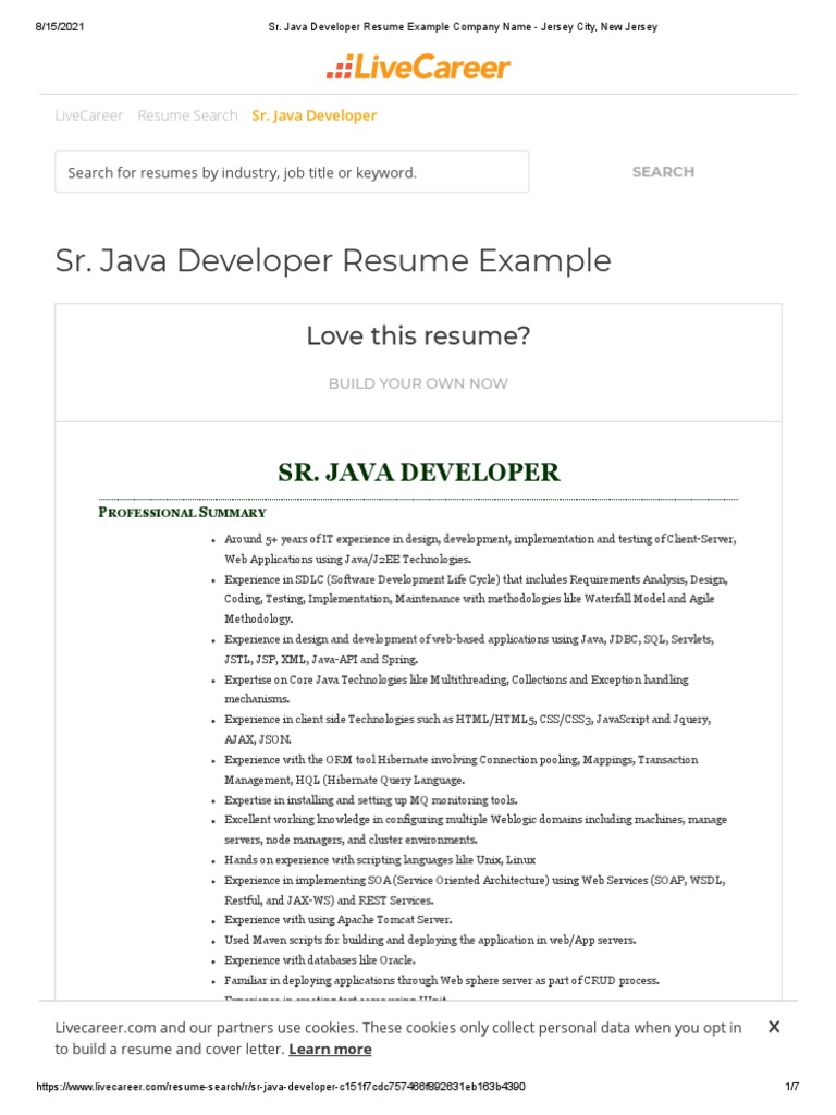 2Sr. Java Developer Resume Example Company Name - Jersey City, New ...