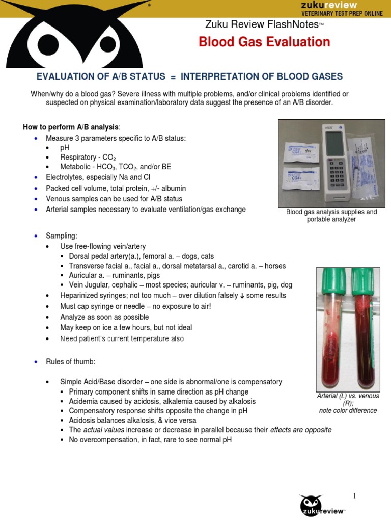 Zuku Visual Flashnotes Blood Gas Eval | PDF | Intensive Care Medicine ...