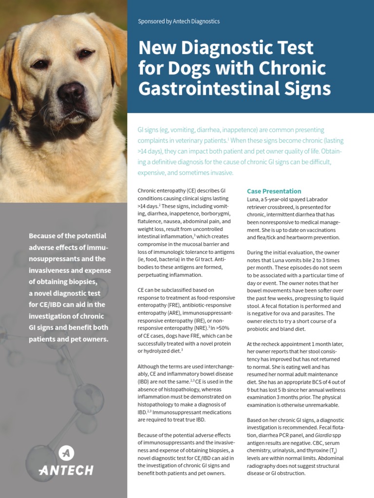 New Diagnostic Test For Dogs With Chronic Gastrointestinal Signs | PDF ...