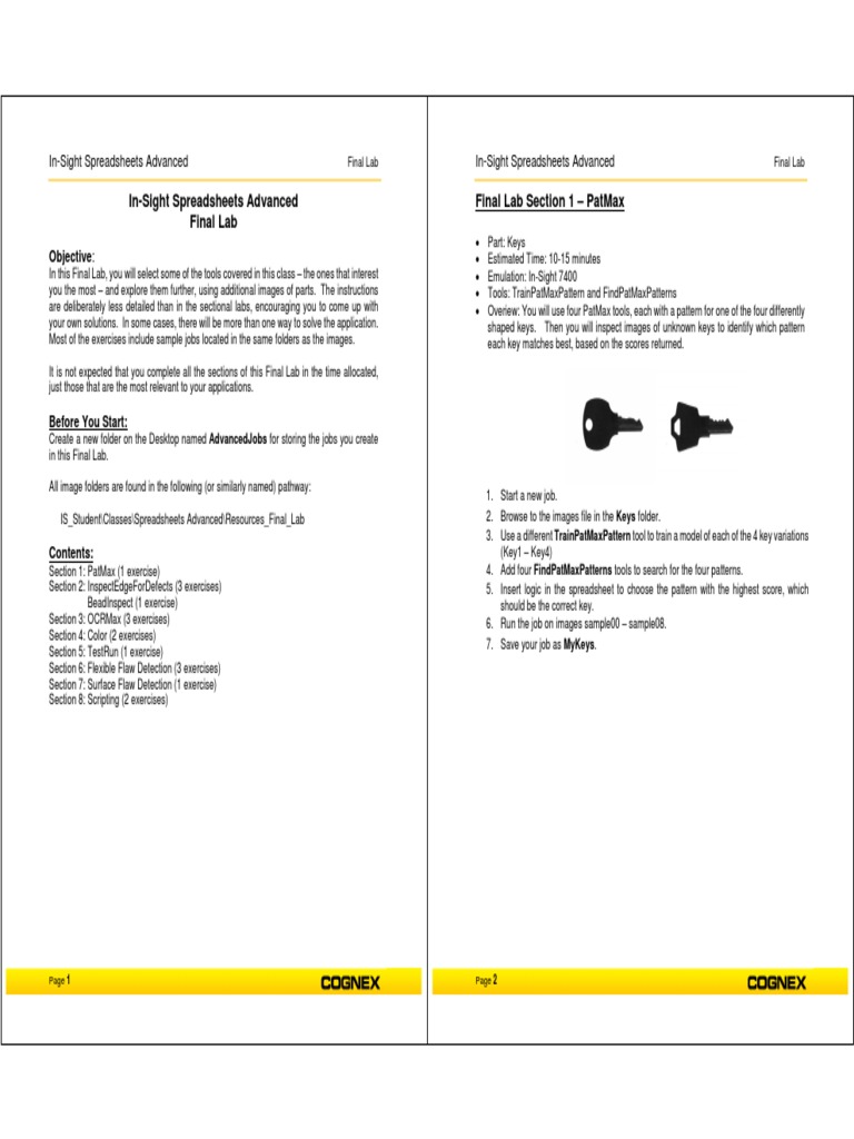 In-Sight Spreadsheets Advanced Final Lab Final Lab Section 1 - Patmax | PDF | Spreadsheet | Pixel