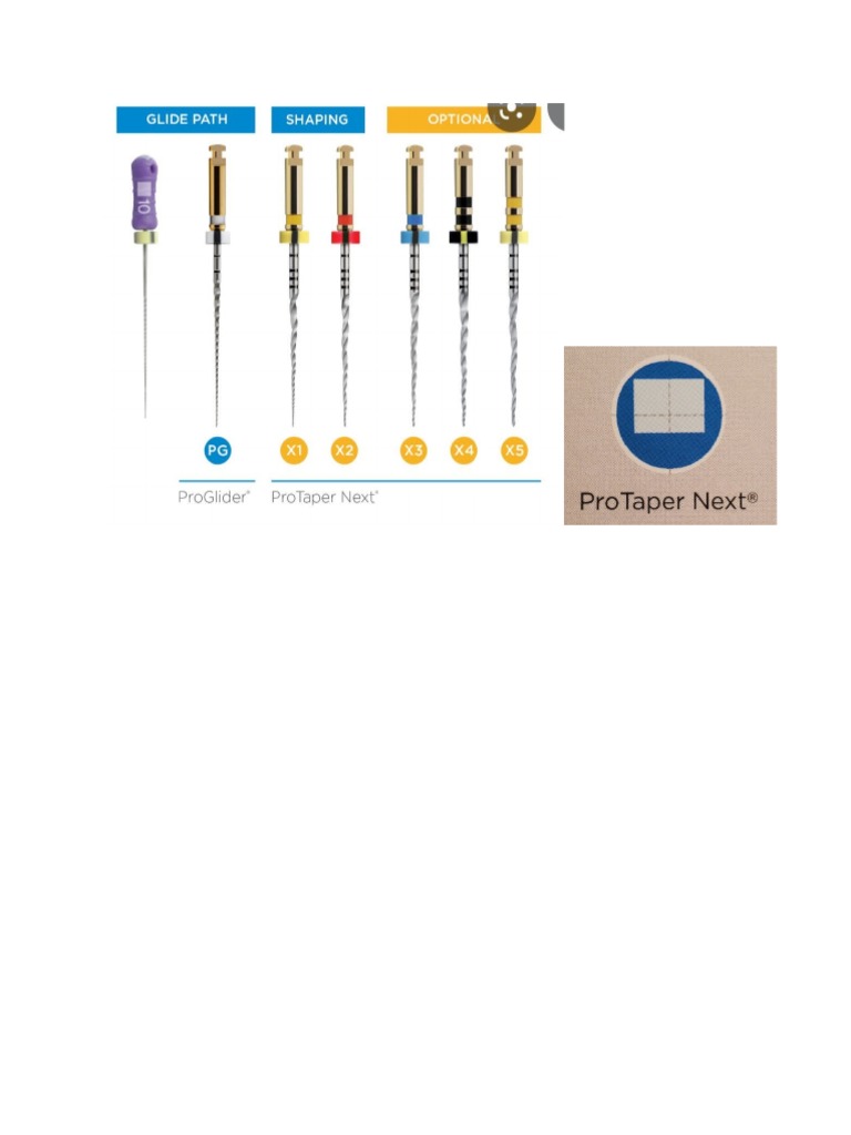 ProTaper Next | PDF