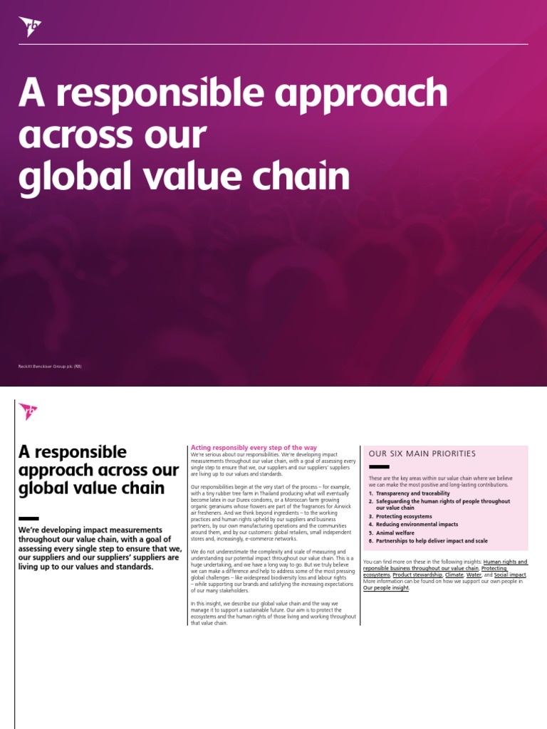 RB Our Global Value Chain 2019 | PDF | Supply Chain | Value Chain