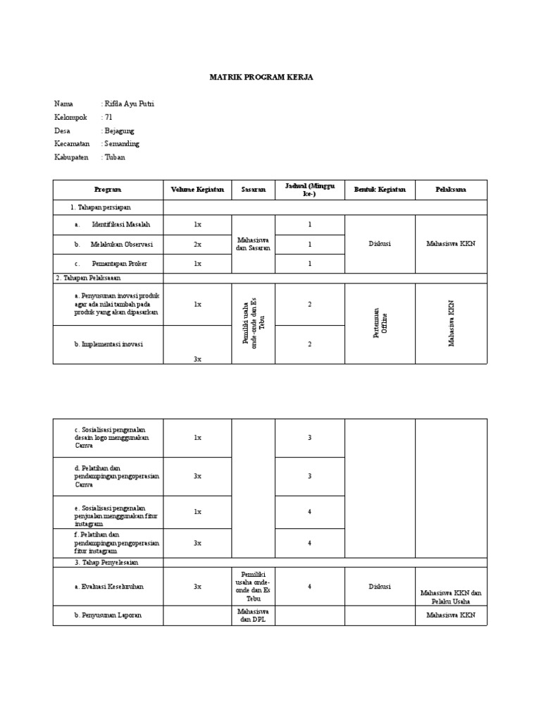 Format Matrik Program Kerja | PDF