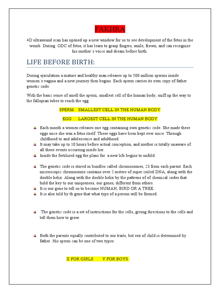 The Development of Life Before Birth: A Comprehensive Look at Fetal ...