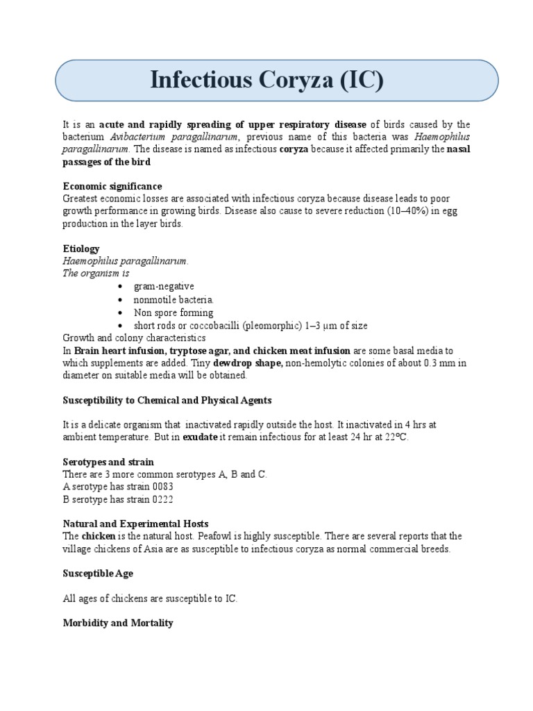 Handouts Infectious Coryza Fall 2020 | PDF | Infection | Mucus