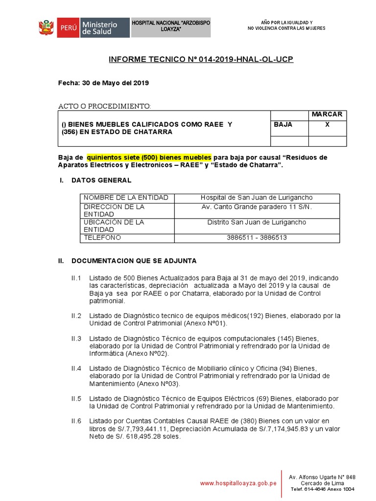 Informe Tecnico 28 de Mayo Baja 500 Bienes Raee + Chatarra 2019 | PDF | Contabilidad | Business