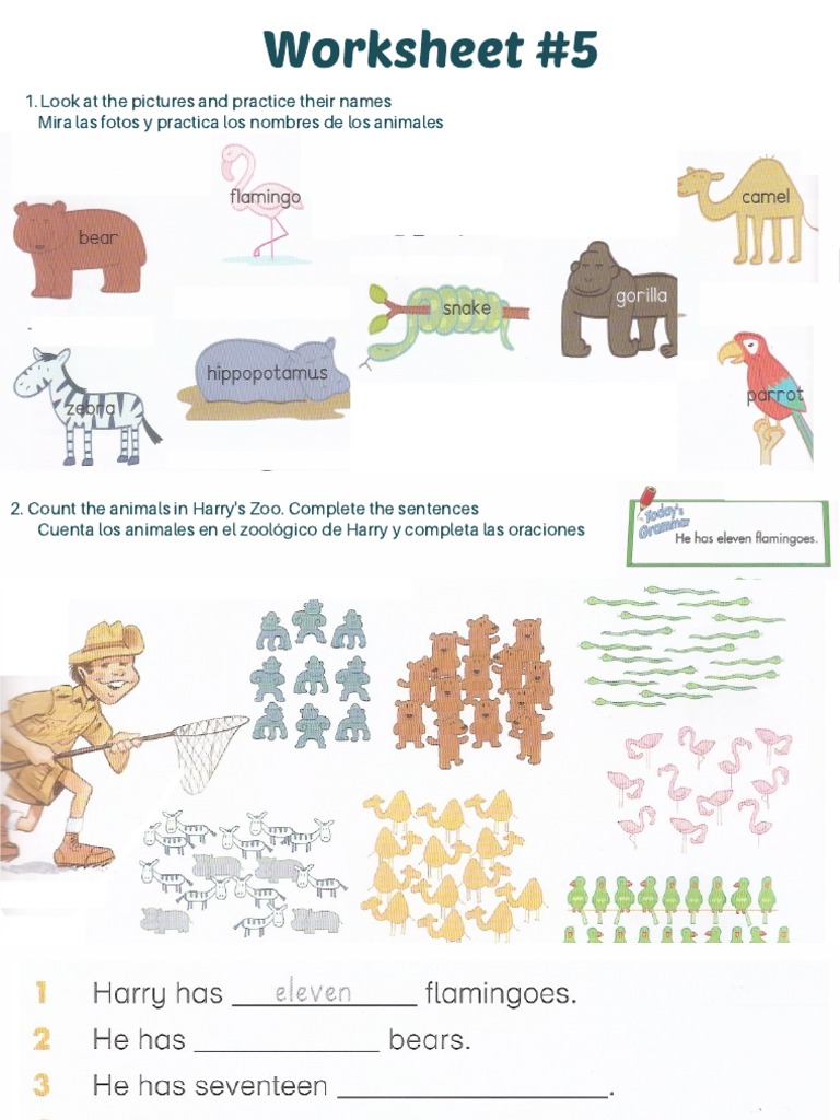 Worksheets #5. Clase 6. Going To The Zoo | PDF