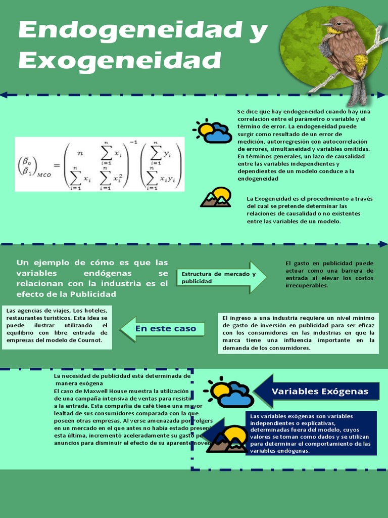 Infografia Exogeneidad y Endogeneidad | PDF | Endogeneidad (Econometría ...