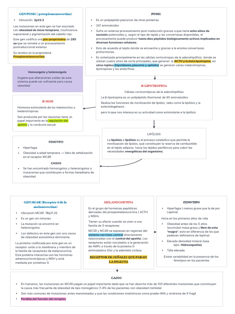POMC y MC4R | PDF | Bioquímica | Química