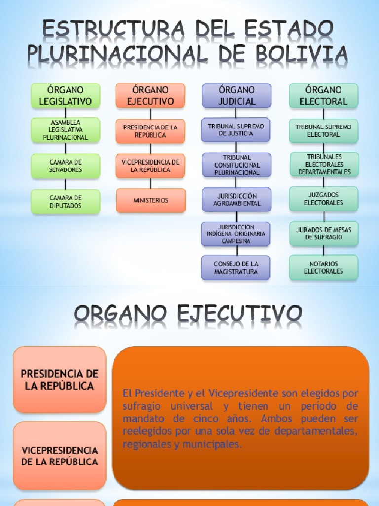 Estructura Del Estado Plurinacional de Bolivia | PDF