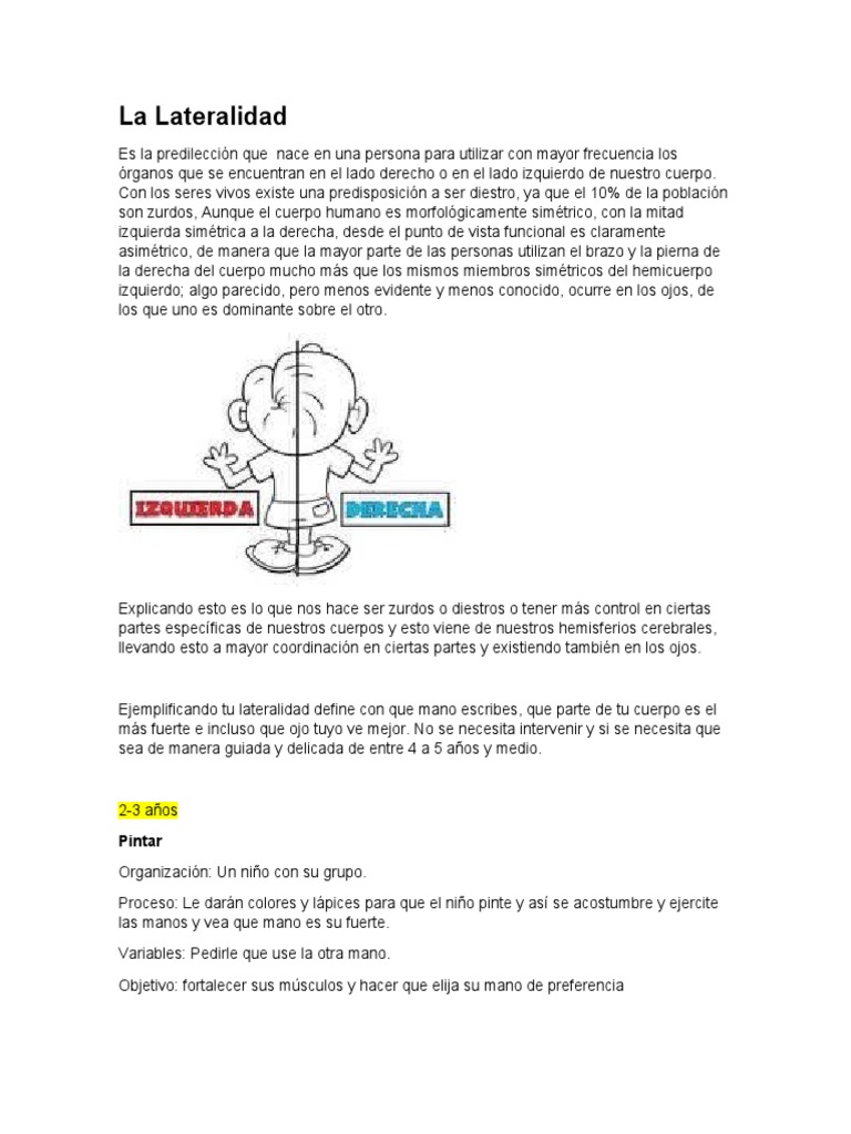 La Lateralidad | PDF | Handedness | Cognición