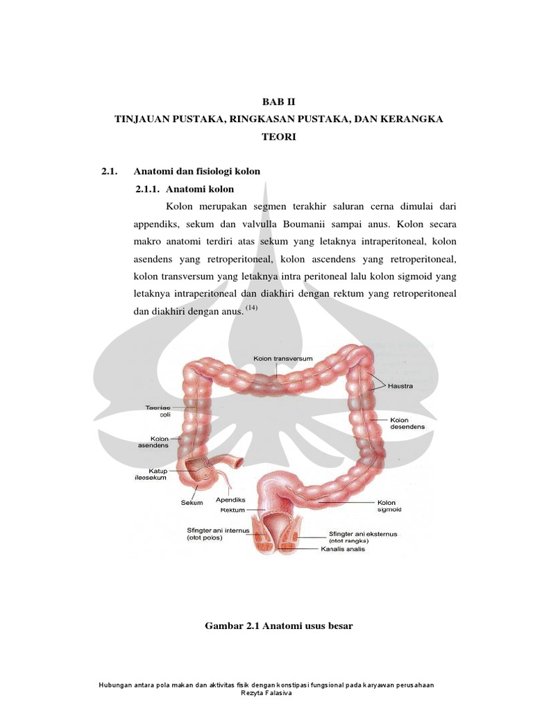 Refleks Defekasi | PDF | Pengembangan Diri | Kesehatan Holistik