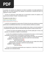 El Pilon | PDF | Ropa | Carnaval