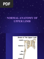 Hip Radiology: Key Anatomical Lines | PDF | Hip | Pelvis