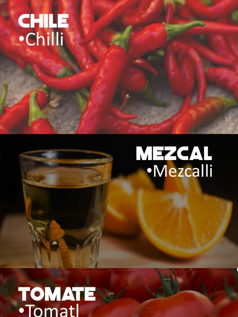 Comida en Náhuatl | PDF