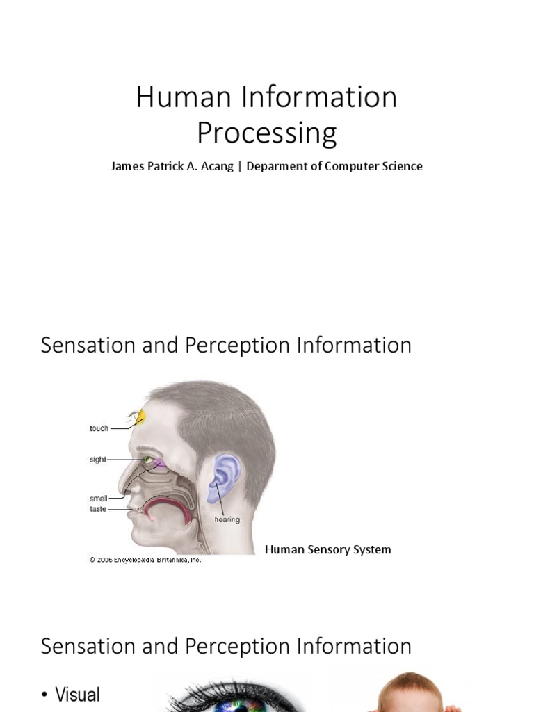 Human Information Processing: James Patrick A. Acang - Deparment of ...