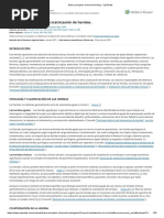 Escala San Elian Minsal | PDF | Pie | Enfermedades y trastornos humanos