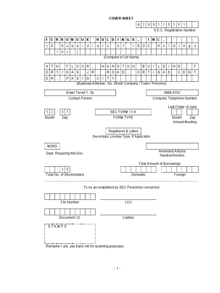 FERRONOUX HOLDINGS, INC. - SEC FORM 17A - Annual Report (31 December ...
