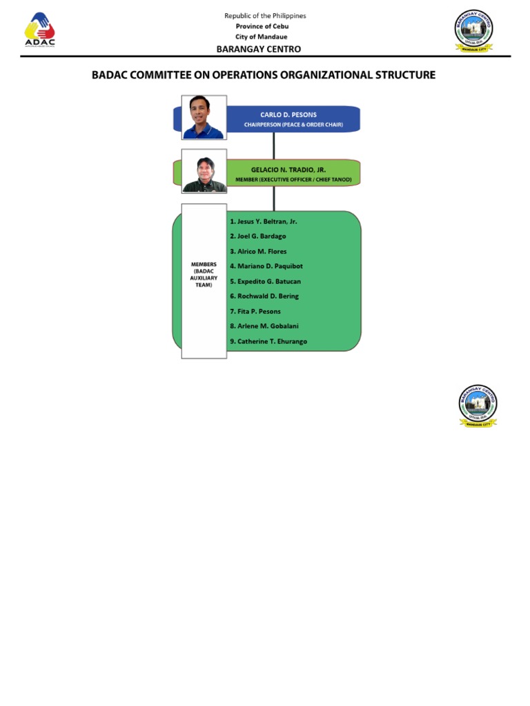 BADAC TEMPLATE - Committee On Operations Organizational Structure | PDF