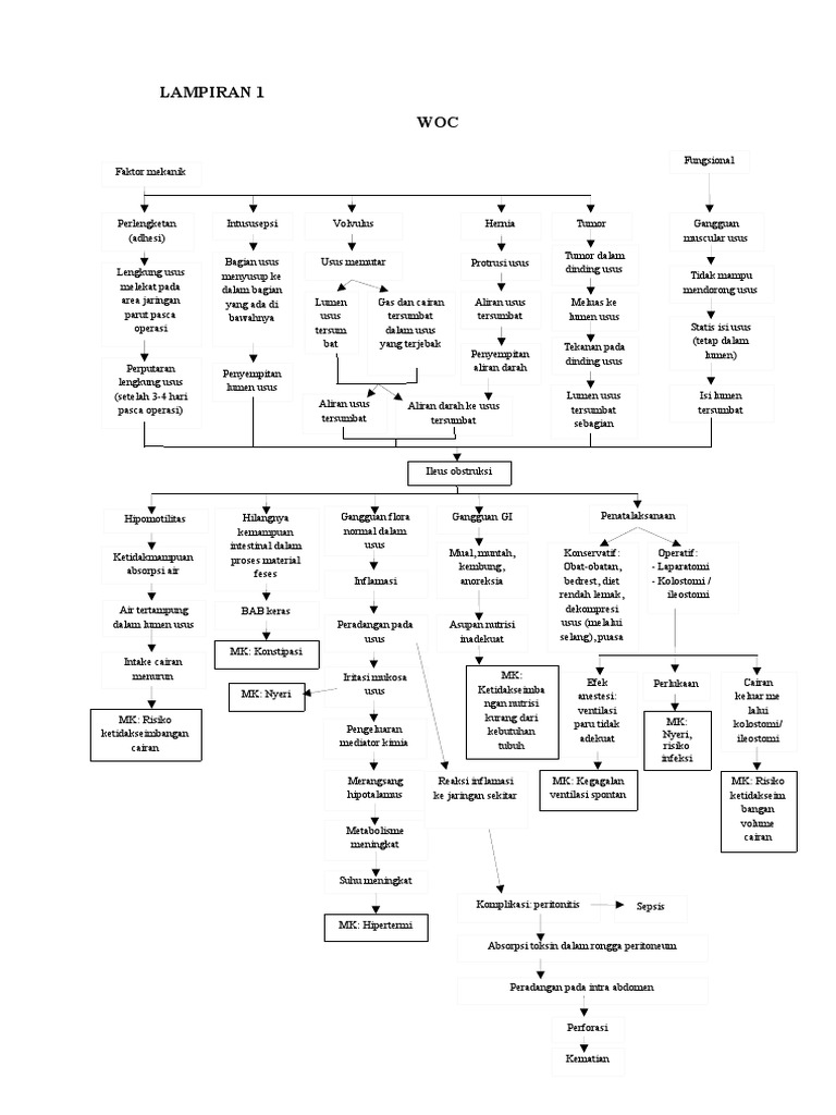 Woc Post Laparatomi | PDF