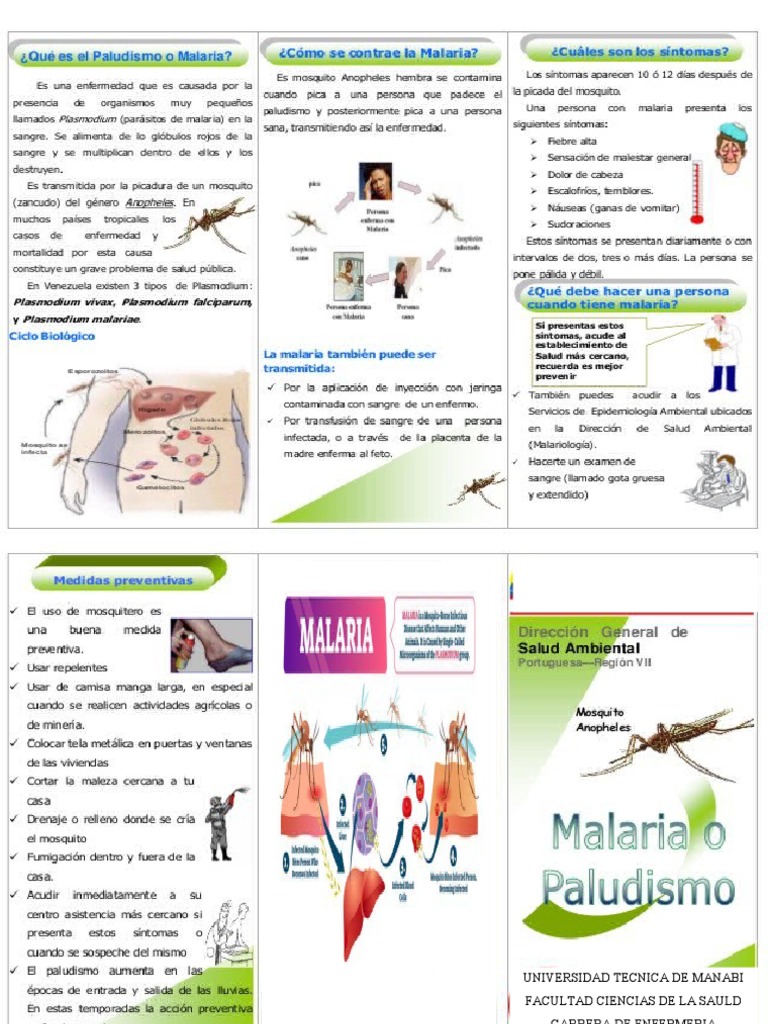 Triptico Malaria | PDF