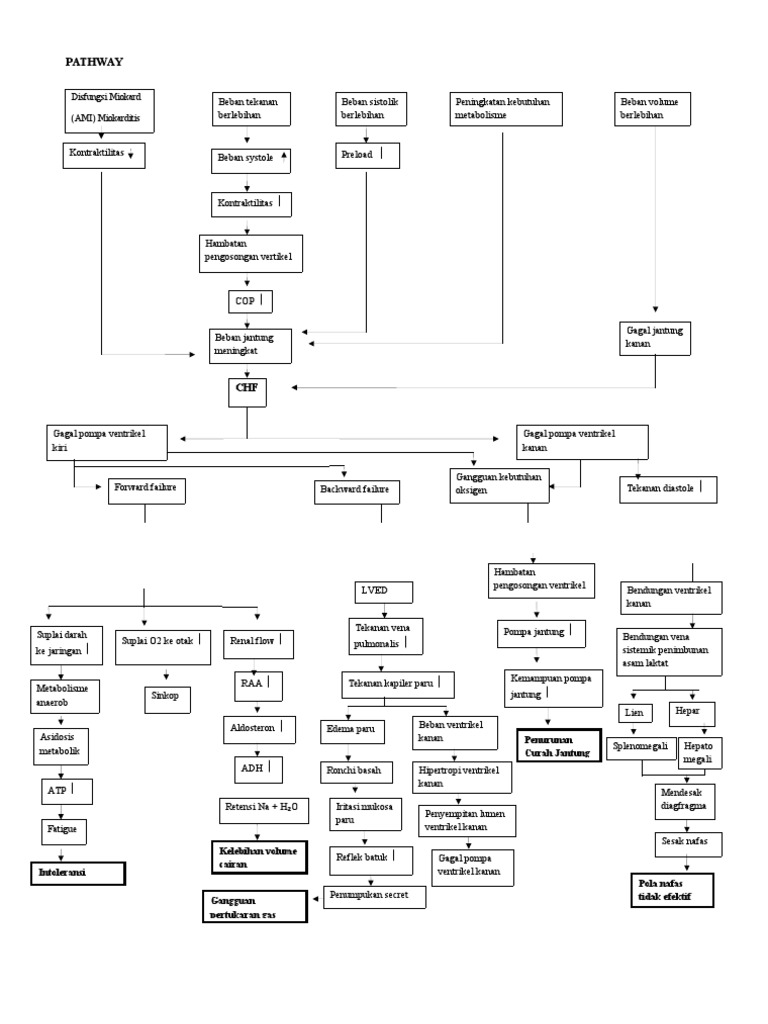 OPTIMIZED TITLE FOR PATHWAY OF HEART FAILURE | PDF