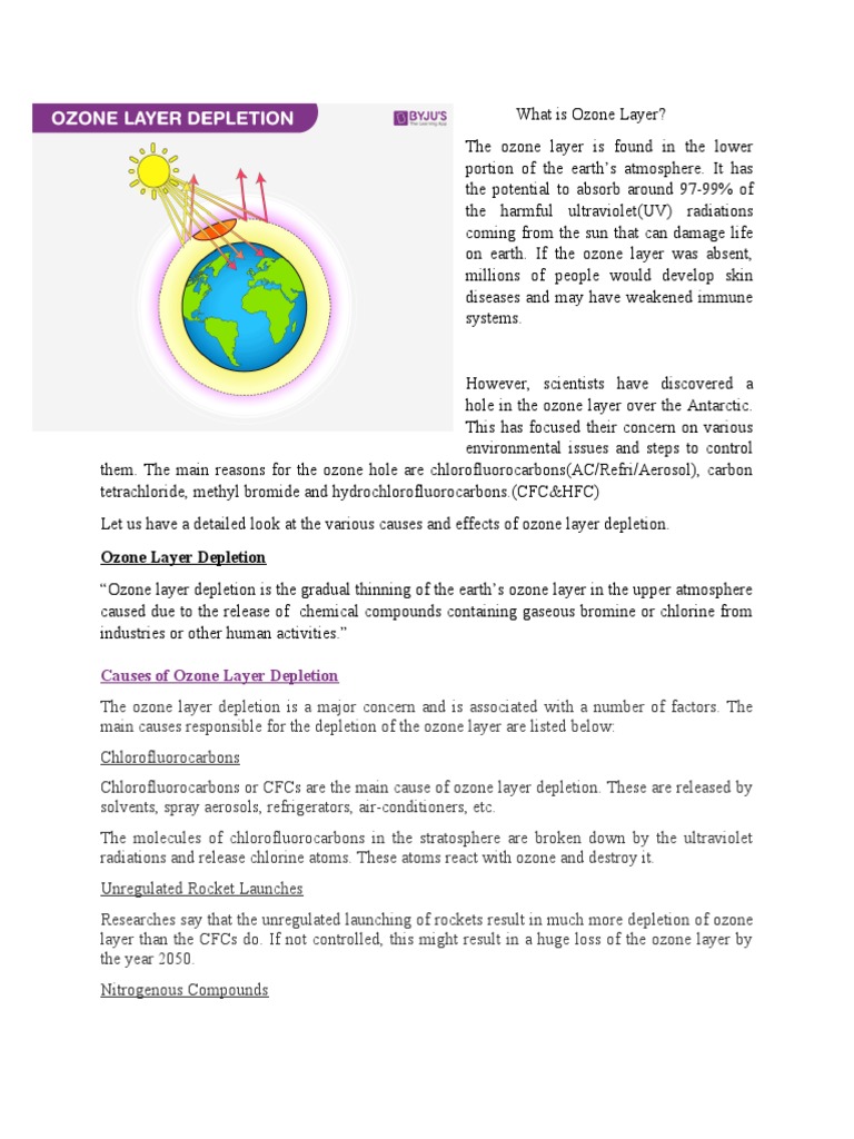 Acid Rain & Ozone Layer Depletion | PDF | Ozone Depletion ...