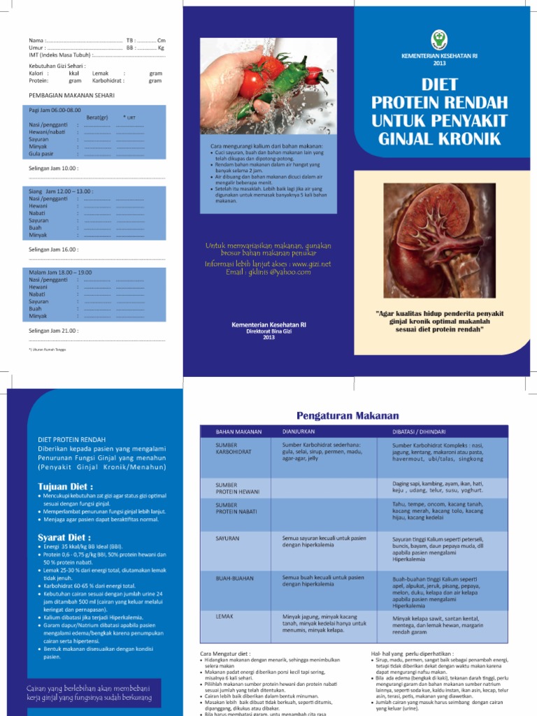 04 - Diet Protein Rendah Utk Ginjal Kronik | PDF