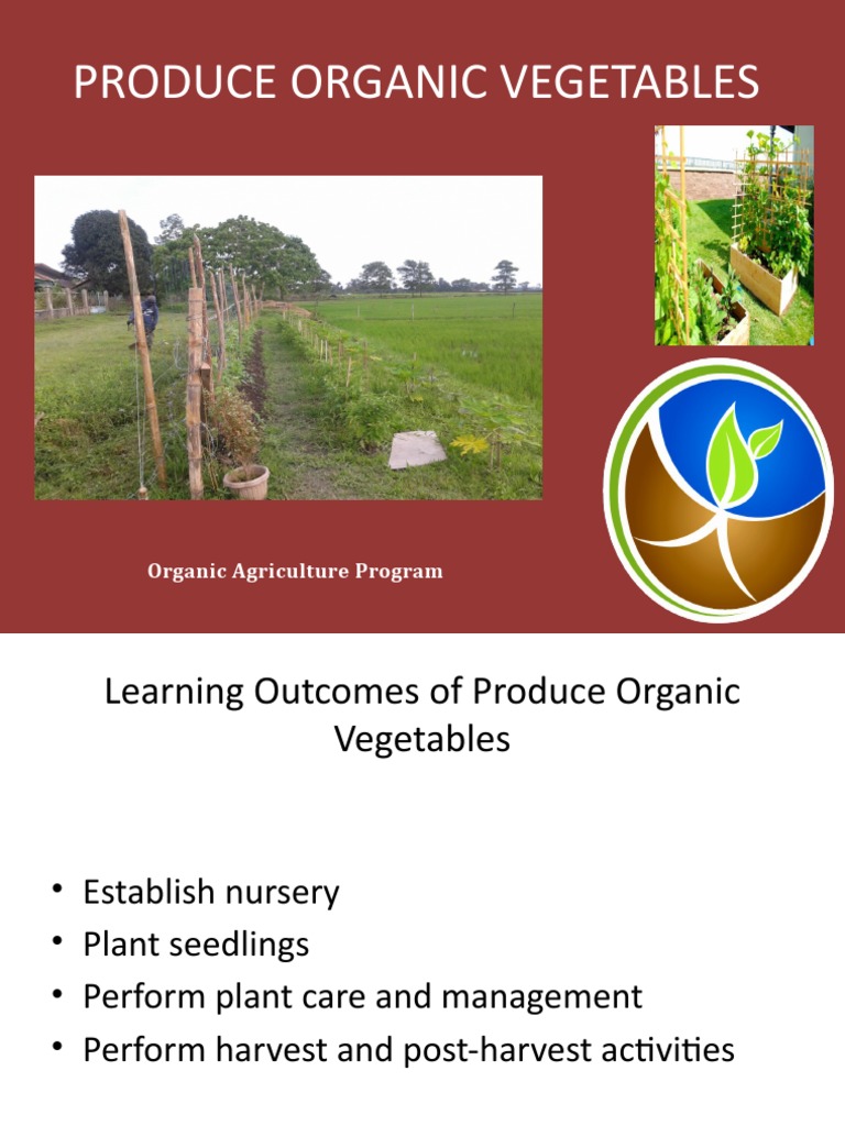 PRODUCE ORGANIC VEGETABLES Phil | PDF | Vegetables | Crop Rotation