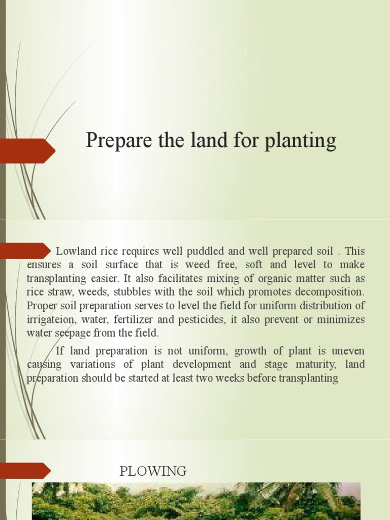 Prepare The Land For Planting | PDF | Plough | Decomposition