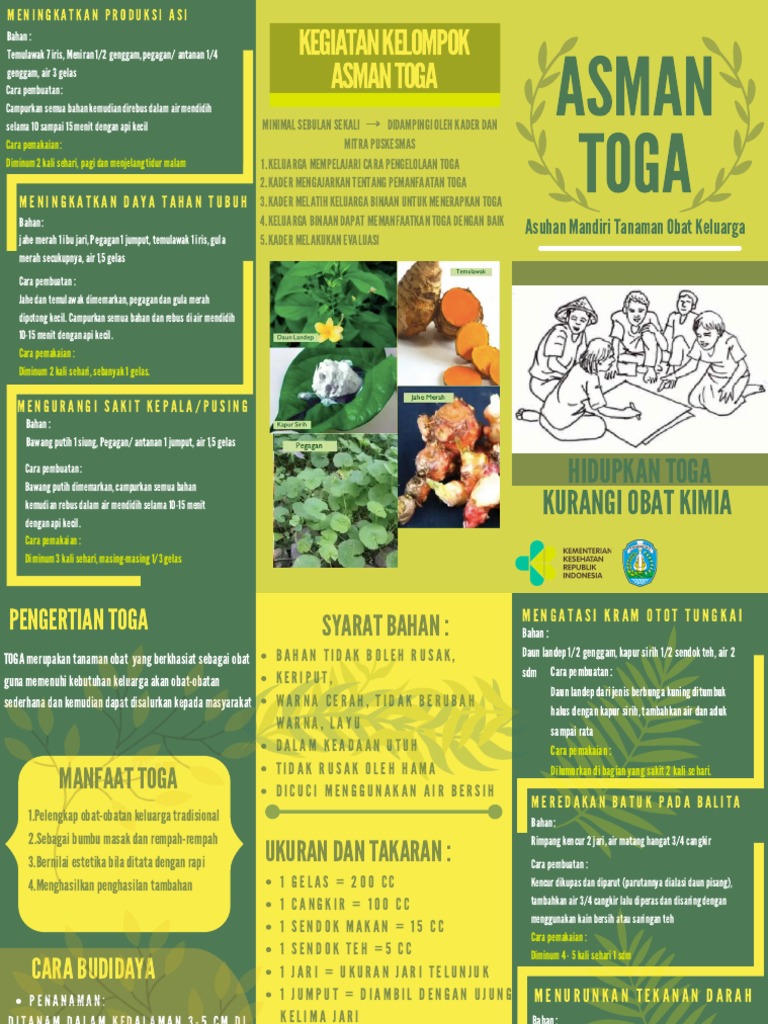 Asman Toga Leaflet | PDF