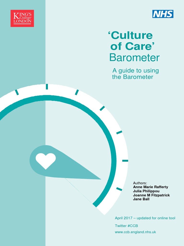 CCB Barometer Rep Guide | PDF | Nursing | Leadership