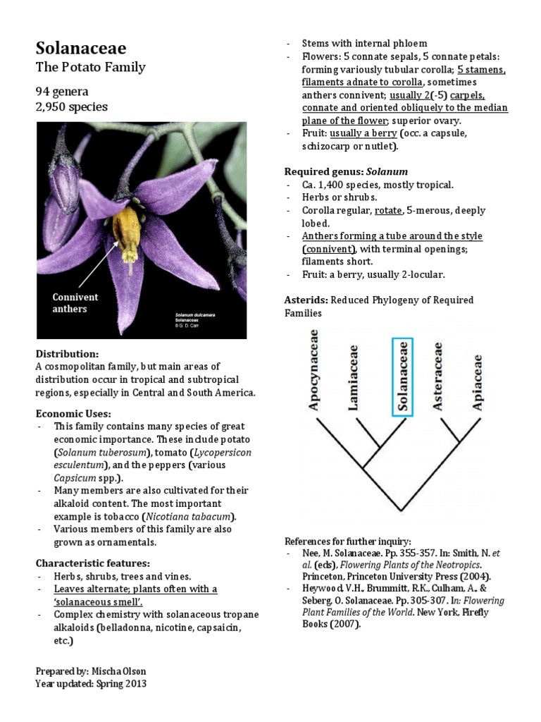 Solanaceae: The Potato Family | PDF | Botany | Plants