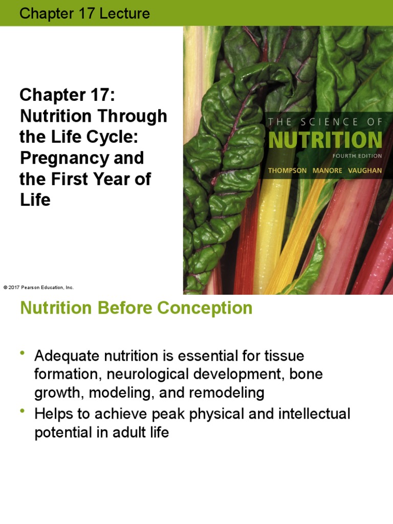 Nutrition Through The Life Cycle: Pregnancy and The First Year of Life ...