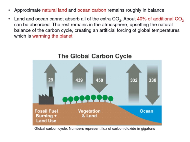 Natural Land Ocean Carbon 40% of Additional CO: Global Carbon Cycle ...