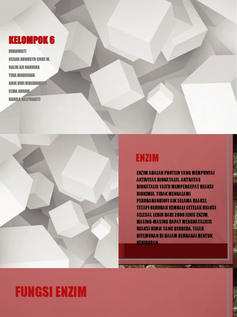 Fungsi, Tata Nama Dan Klasifikasi Enzim | PDF