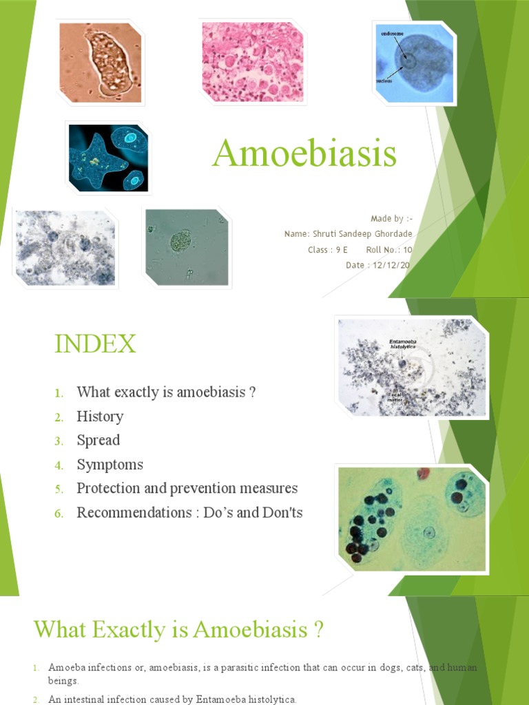 Amoebiasis Disease | PDF | Epidemiology | Medical Specialties