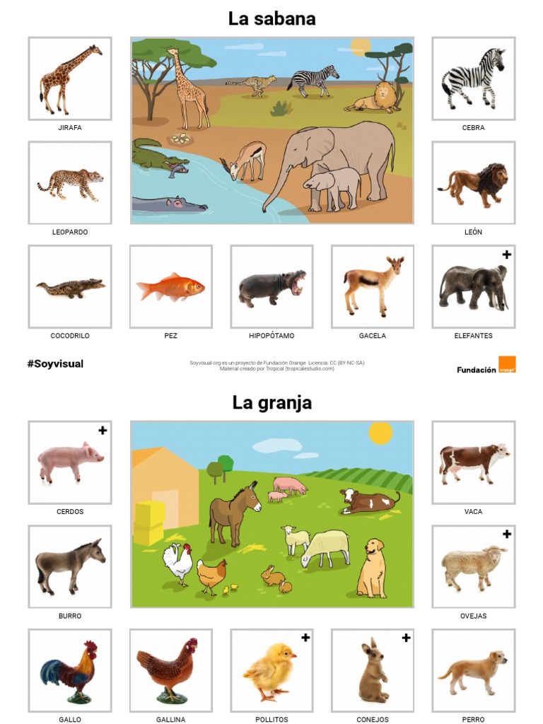 Vocabulario - Animales | PDF