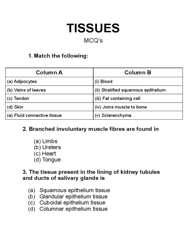 Tissues - Mcqs | PDF | Tissue (Biology) | Epithelium