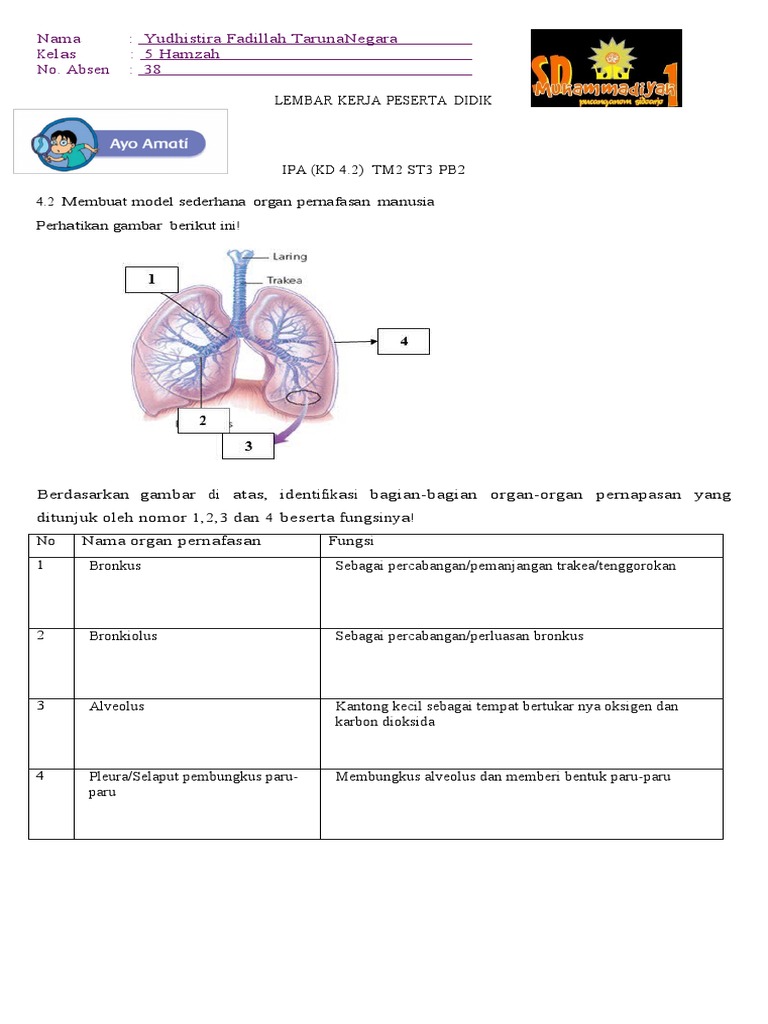 LKPD Ipa TM2 ST3 PB2 | PDF