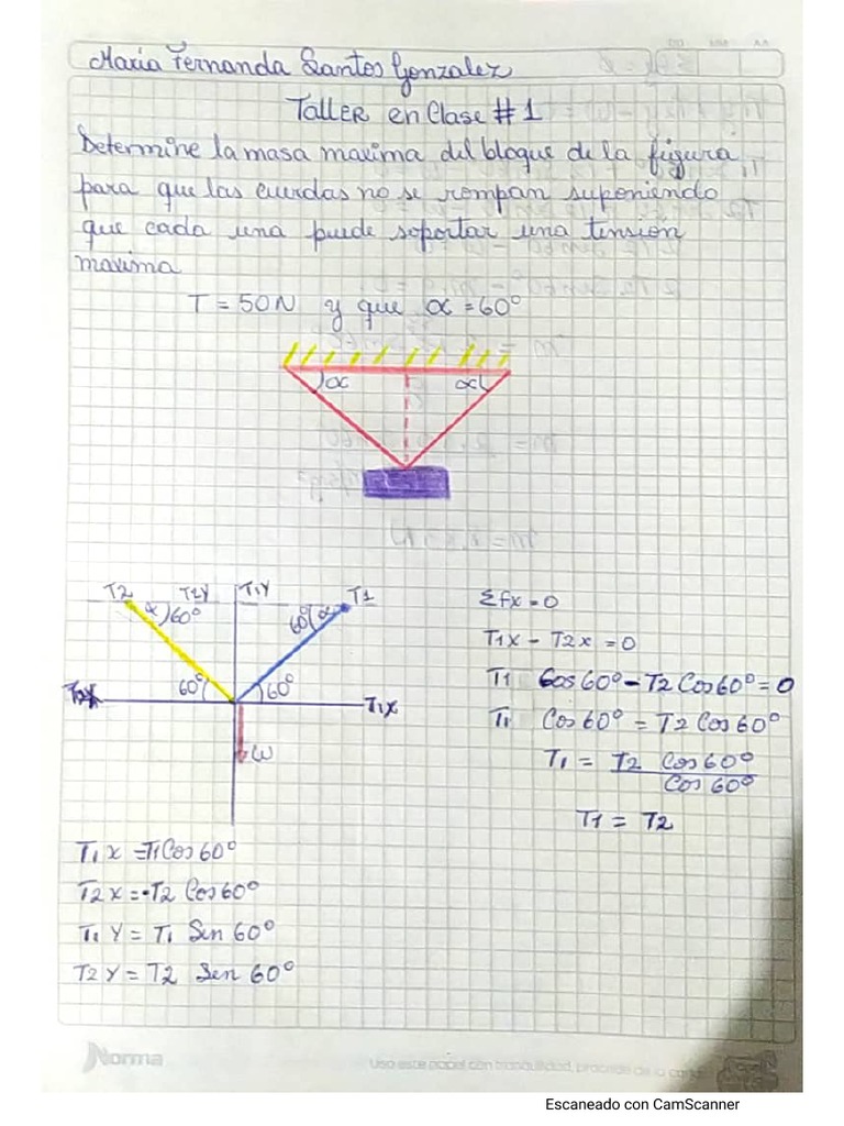 Fi Sica Taller 1 | PDF