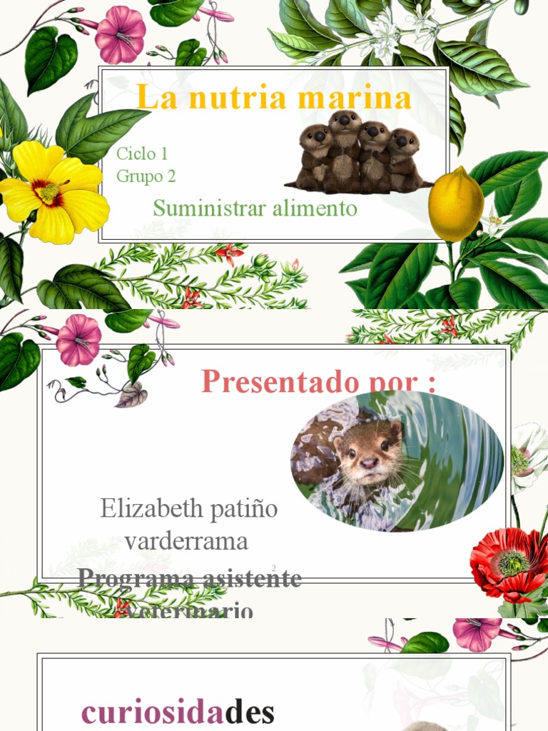 La Nutria | PDF | Sistema digestivo humano | Nutria