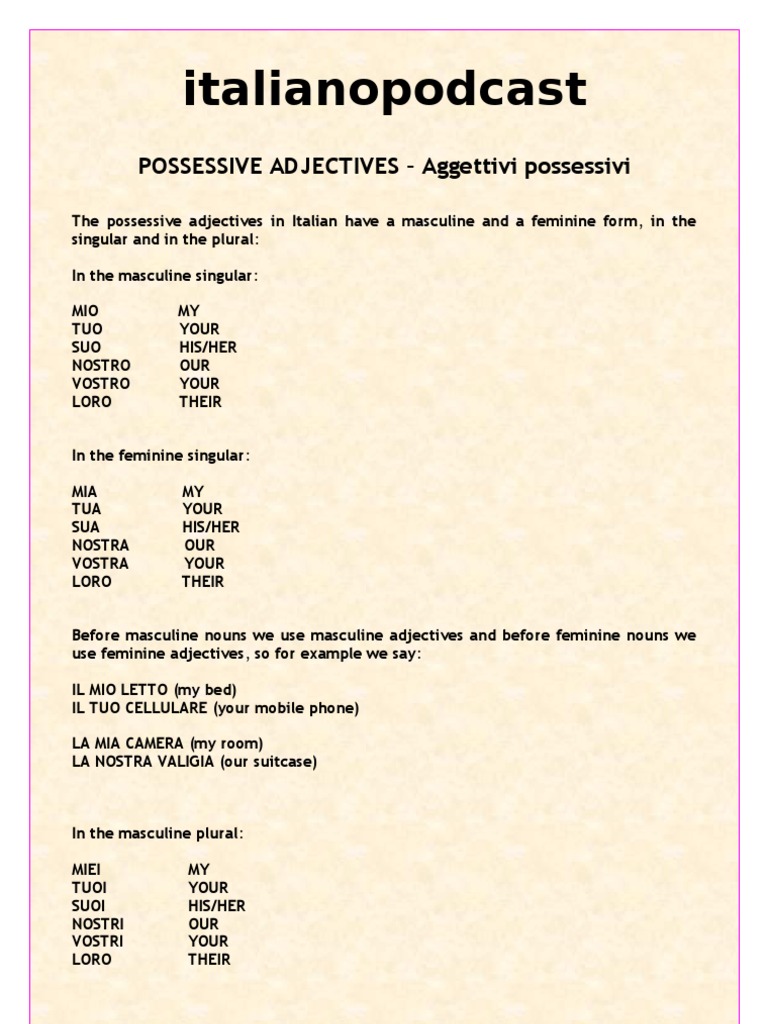 Italian Possessive Adjectives Guide | PDF | Grammatical Gender ...