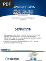 Colpoperineoplastia: Técnica y Procedimiento | PDF